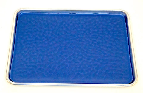Dissection Tray (large) | Cornerstone Educational Supply